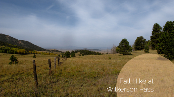 Everyday Adventure // Fall Hike at Wilkerson Pass » Annabelle Needles ...