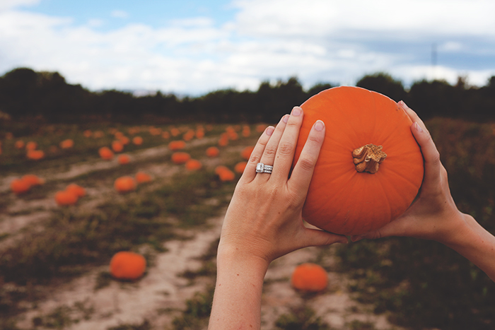 Everyday Adventure // Return to Happy Apple Farm » Annabelle Needles ...