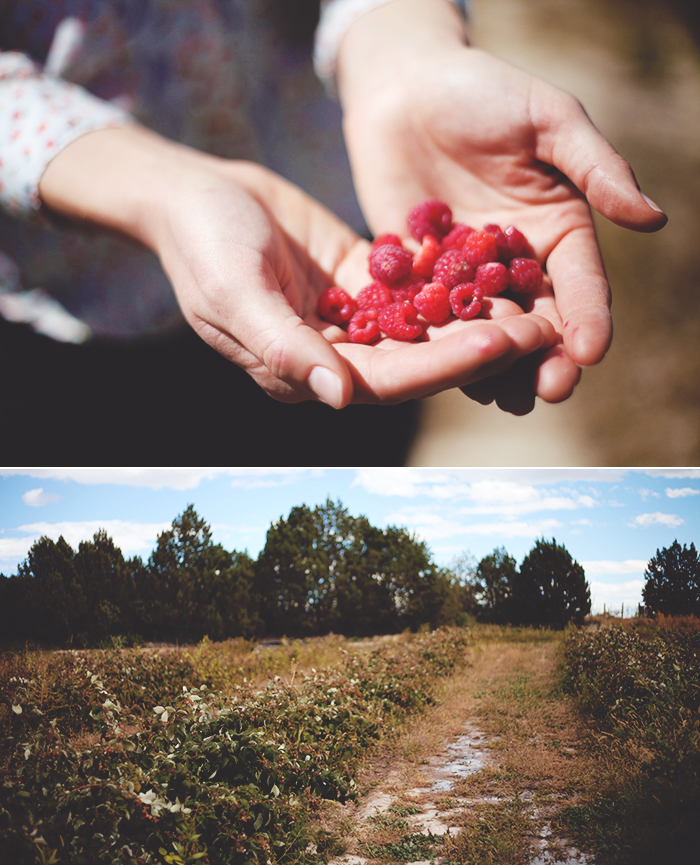 Everyday Adventure // Return to Happy Apple Farm » Annabelle Needles ...