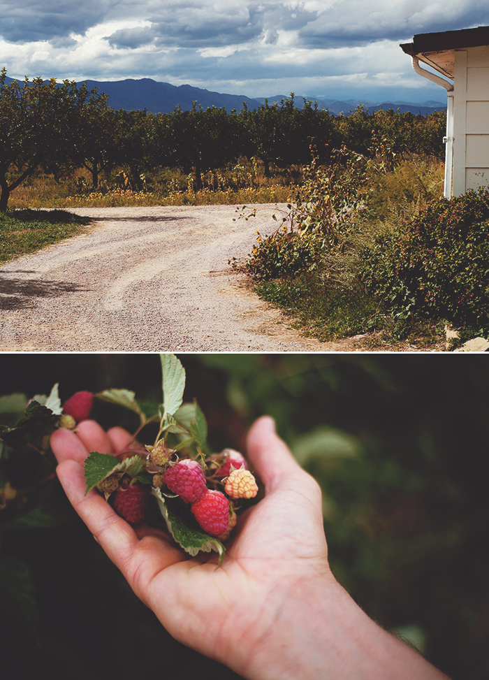 Everyday Adventure // Return to Happy Apple Farm » Annabelle Needles ...
