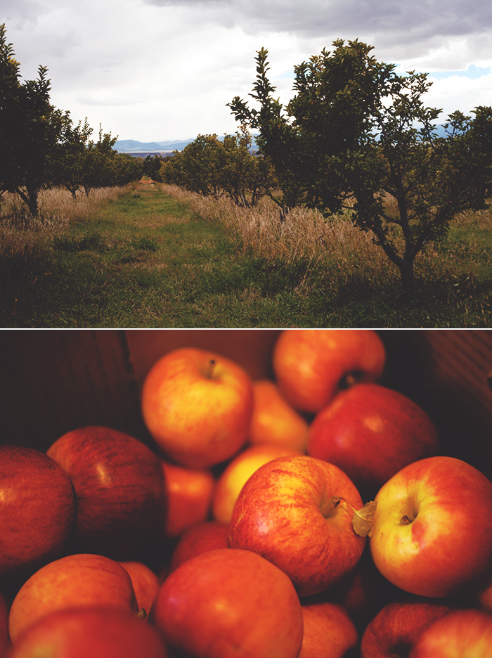 Everyday Adventure // Return to Happy Apple Farm » Annabelle Needles ...