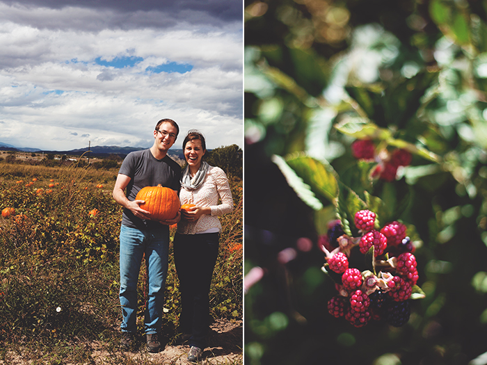 Everyday Adventure // Return to Happy Apple Farm » Annabelle Needles ...